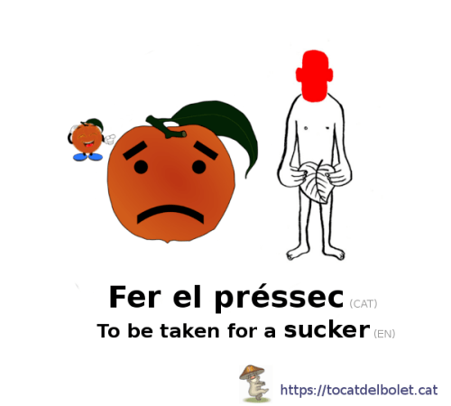 Fer el préssec | PCCD