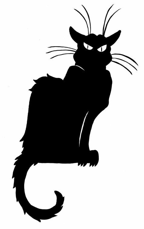 De nit tots els gats són negres | PCCD