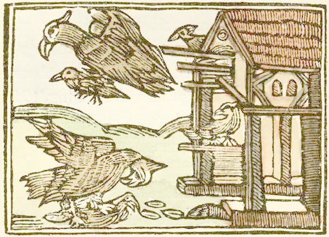 Déu mantinga mon senyor per por d'altre de pitjor | PCCD