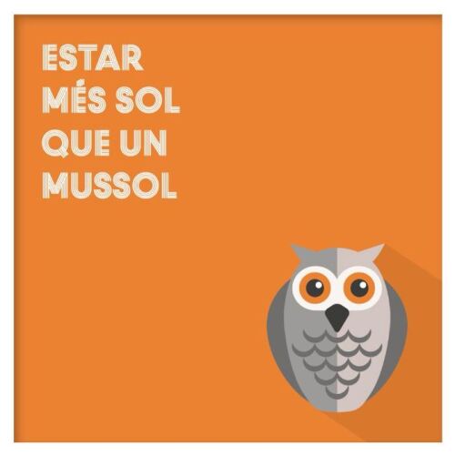 Sol com un mussol | PCCD