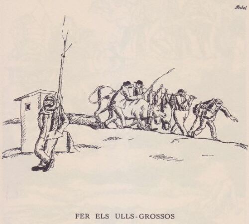 Fer els ulls grossos | PCCD