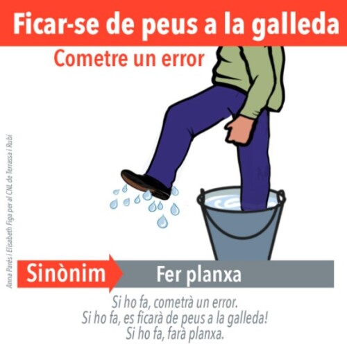 Ficar els peus a la galleda | PCCD