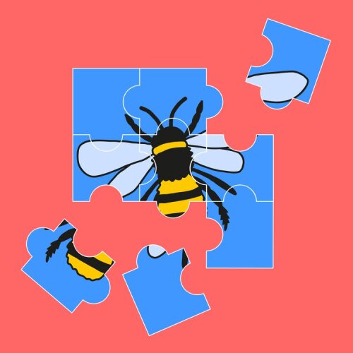 Fer el borinot | PCCD