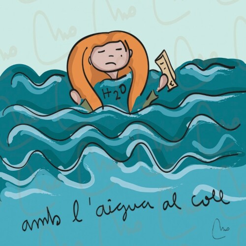 Amb l'aigua fins al coll | PCCD