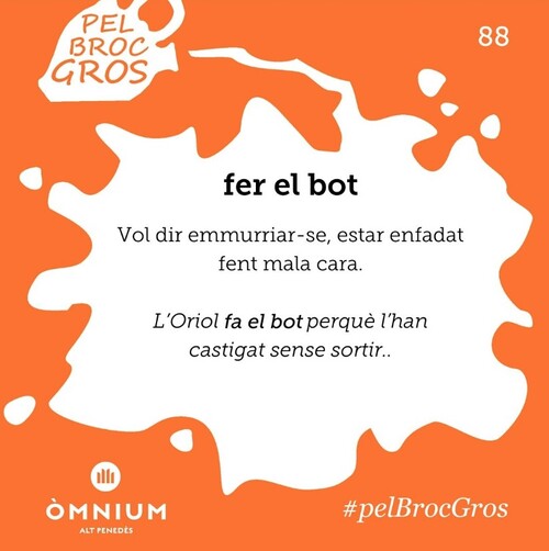 Fer el bot | PCCD