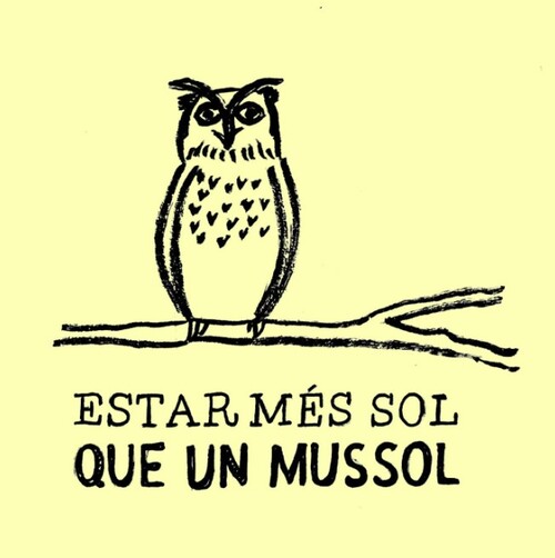 Sol com un mussol | PCCD