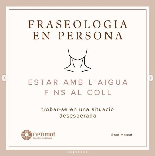 Amb l'aigua fins al coll | PCCD